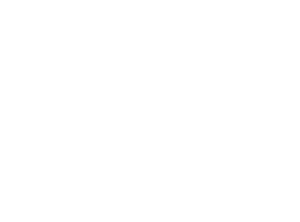 Marc Ellis CV Scoring